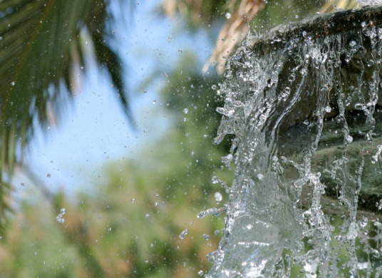 Mid-Day Refresh - XM InTouch - Manu Life